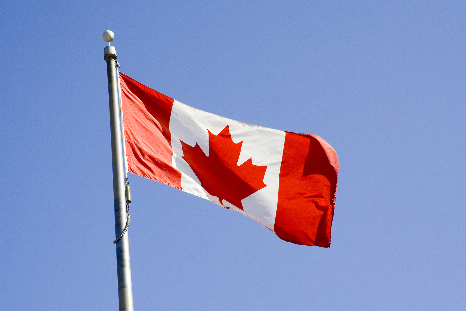 CIAC Welcomes Senate Committee Report on Strengthening Canada’s Supply ...